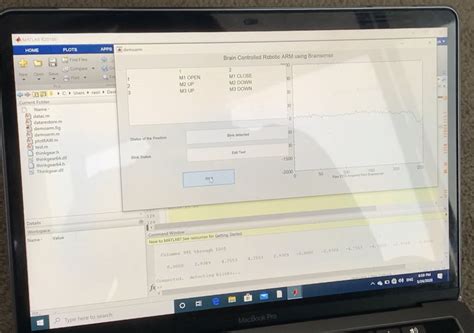 MATLAB Program Window After Acquiring The EEG Signal Download Scientific Diagram