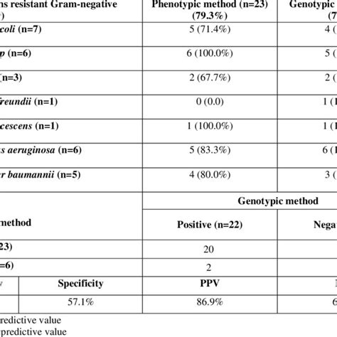 Positive Combined Disc Test For Detection Of Mbl Activity The Test Download Scientific Diagram