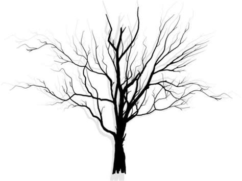 Naked Tree Vector Art Icons And Graphics For Free Download