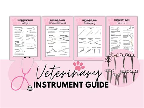 Veterinary Instrumentation Guide Surgical Instrument Poster Digital Download 8 Page Etsy