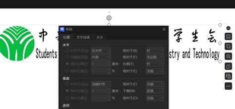 图片嵌入后在 布局 位置 水平 对齐方式为什么默认是左对齐啊，还不能调，对其方式该如何调居中？