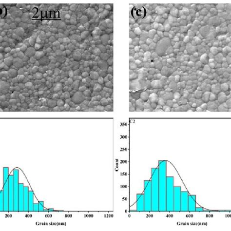 The Typical Microstructure And Grain Distribution Of Conventional Download Scientific Diagram