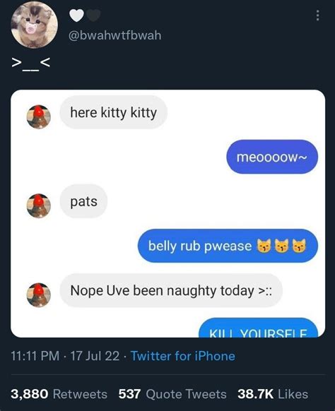 Naughty R Rodentintercourse