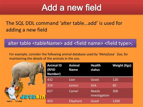 Ms Sql Server Manipulating Database Ppt
