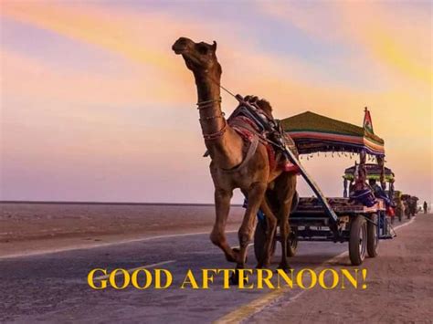 Theories Of Tooth Eruption Pptx