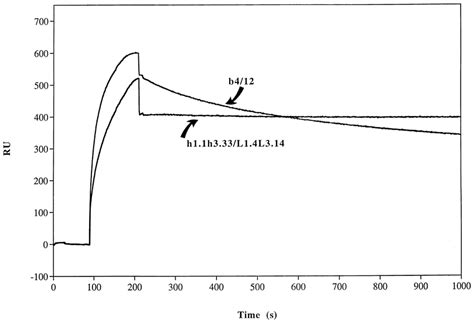 Comparison Of Biacore Sensorgrams Obtained For The Binding Of Fabs