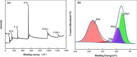 Xps Spectra For The Sio2 Pv Powder Samples A Survey Spectrum And B