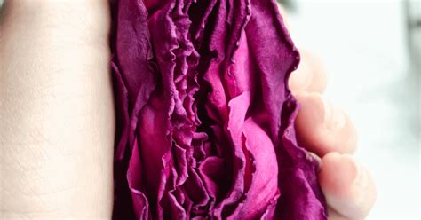 Dry Orgasm Meaning Causes Symptoms Treatment