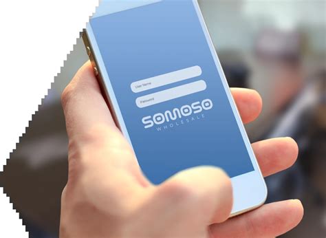 System And Data Security Palitto Consulting Services