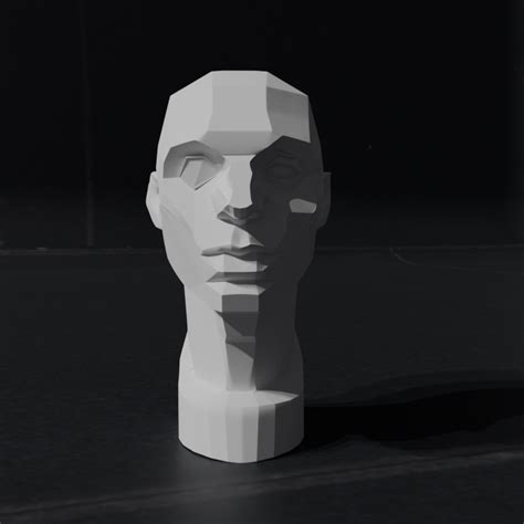 🧑‍🏫 Asaro‑head Study Model Inspired‑by John Asaro Planes Of The Head
