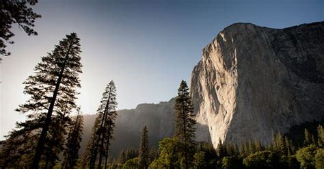 Dev Shorts Aravind Putrevu Substack