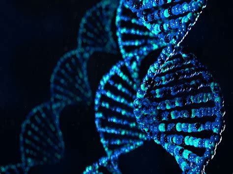 Getting Started With Single Cell Gene Expression