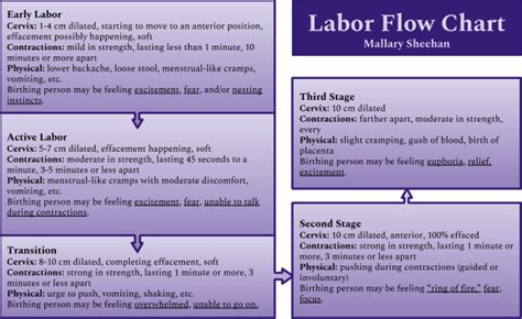 Labor Flow Chart A Step By Step Guide