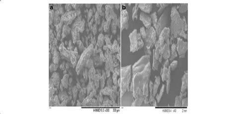 A Sem Image For Pre Extraction B Sem Image For Post Extraction
