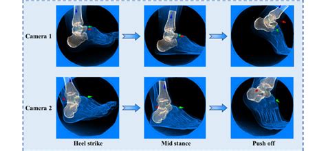 Model Based Tracking Reproduced The 3d Pose Of Each Bone The