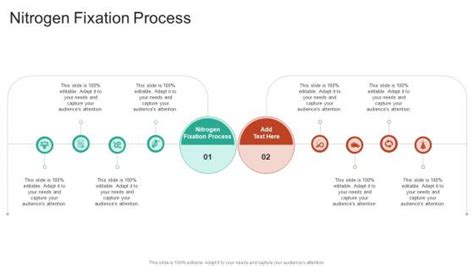 Nitrogen Fixation Process PowerPoint Presentation And Slides PPT Slide SlideTeam