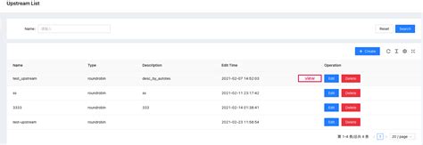 Support To Show Raw Data For Route Upstream Service And So On · Issue