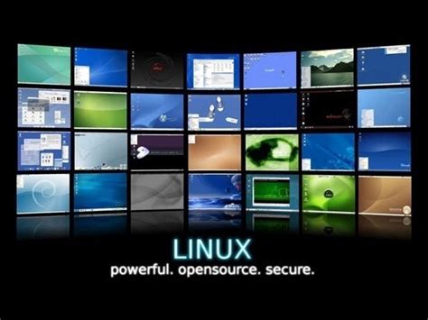 Разница между Windows и Linux Moyo