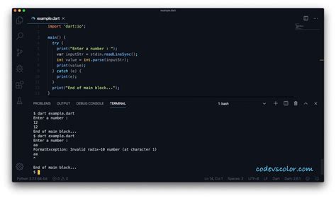 Exceptions And How To Handle Exceptions In Dart CodeVsColor