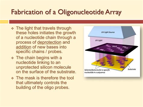 Dnamicroarraypresentation Dna Fingerprinting Dna Biotechnology Ppt