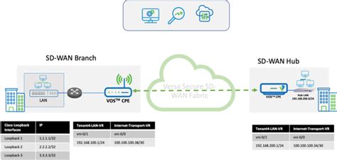 Dynamic Protocol Configuration BGP Academy Versa Networks