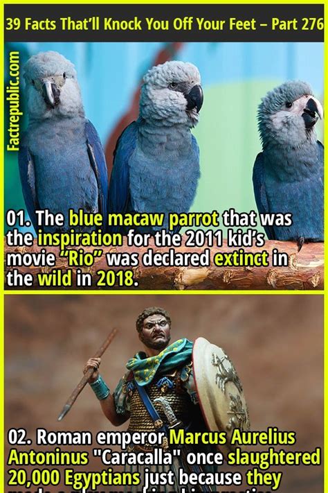 Interesting Facts About Cia Artofit