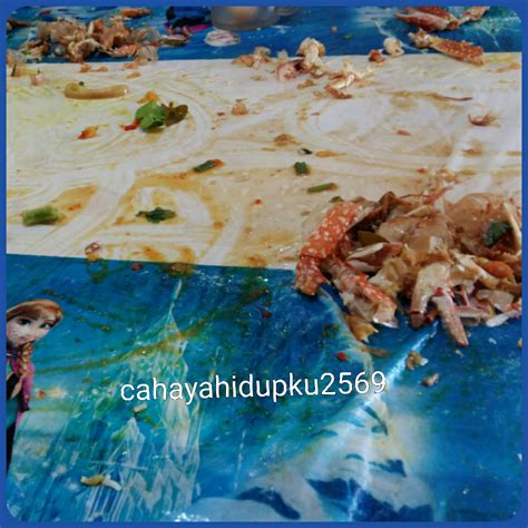 Cahaya Hidupku Homemade Shellout 😊 Lapik Plastik Frozen Jadi Mangsa