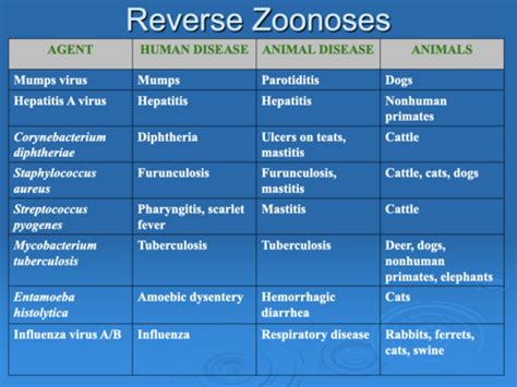 Public Health Reverse Zoonoses Flashcards Quizlet