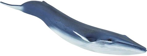 Safari Ltd Blue Whale Figurine Detailed 11 Plastic Model Figure