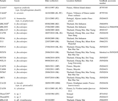 Collections Included In The Phylogenetic Analyses Download Table