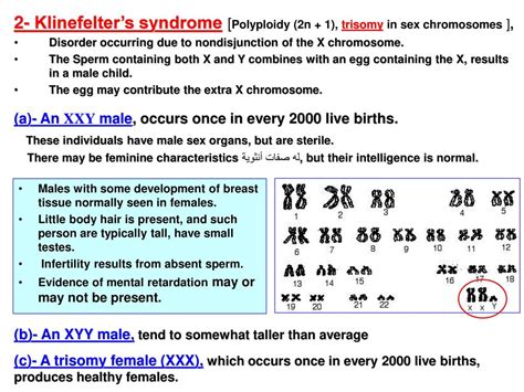 The Chromosomal Basis Of Inheritance Section B Sex Chromosomes Ppt Download