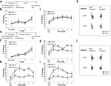 Affecting Long Term Fear Memory Formation Through Optical Control Of Rac1 Gtpase And Pak