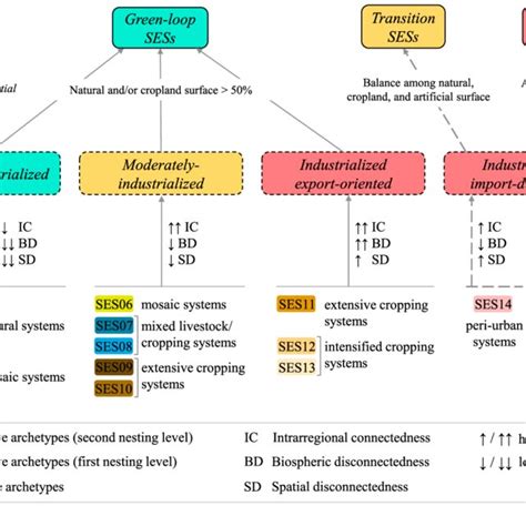 Summary Of The Nested Classification Of Inductive Typical Sess Within