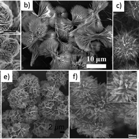 Self Organized Hierarchical Nanostructures By Hydrothermalsolvothermal Download Scientific