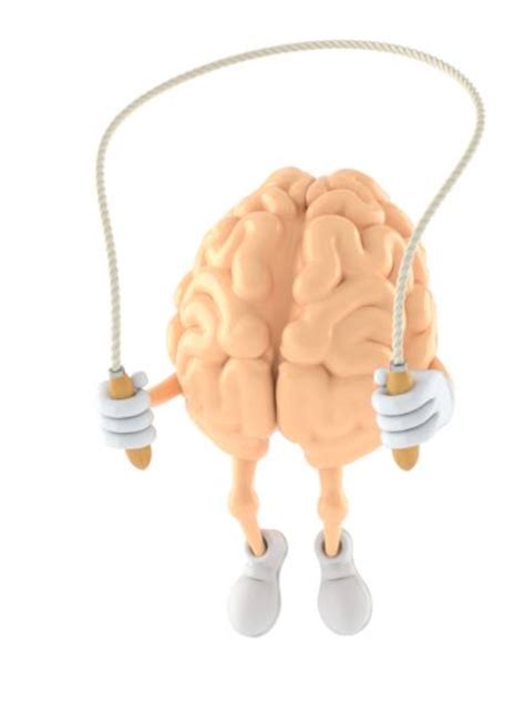 9 Foods That Sharpen Brain And Improve Memory Power Times Of India