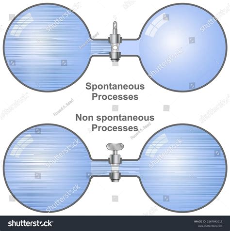 Vektor Stok How Do Spontaneous Processes Affect Entropy Tanpa Royalti 2167842017 Shutterstock