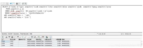 sap 自建数据库表的索引 sap index csdn博客