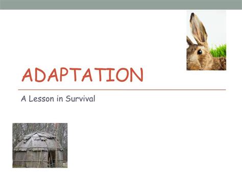 Ppt Adaptation Powerpoint Presentation Free Download Id2268138