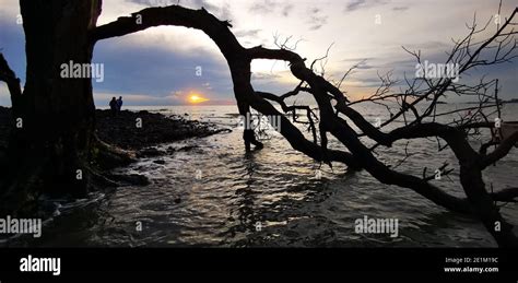 Silloutte Hi Res Stock Photography And Images Alamy