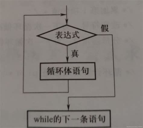 （小张张带你0基础学习c语言循环）（for循环语句、while循环语句、do while循环语句详解） for循环当中必须是两个分号 csdn博客