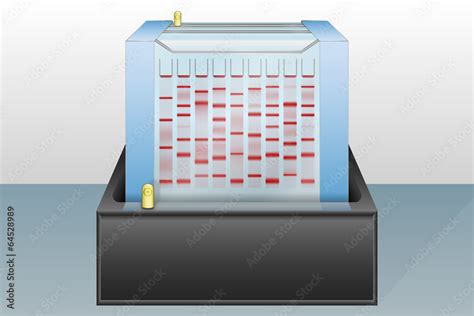 Gel Electrophoresis Device Vector Illustration Stock Vector Adobe Stock
