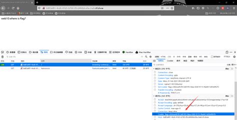 ctfshow-web1~10-WP_各大CTF平台WP-CSDN专栏