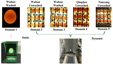 Robust Detection Of Cracked Eggs Using A Multi Domain Training Method For Practical Egg Production