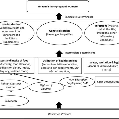 Conceptual Framework For Determinants Of Anaemia Download Scientific Diagram