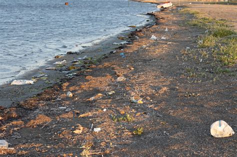 다양한 쓰레기와 더러운 모래 해변에 남아있는 플라스틱 병 0명에 대한 스톡 사진 및 기타 이미지 0명 가방 금속 Istock