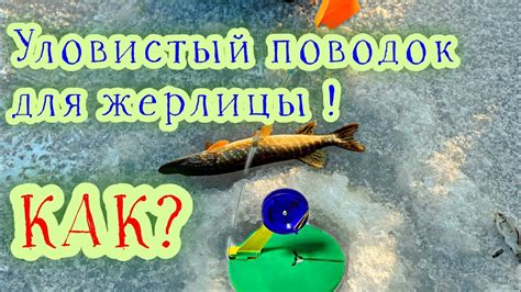 ПОВОДОК для ЖЕРЛИЦЫ? КАКОЙ? Самый уловистый поводок для зимней рыбалки ...