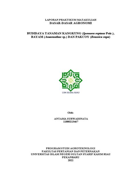 Dda Muhammad Nanda Pdf