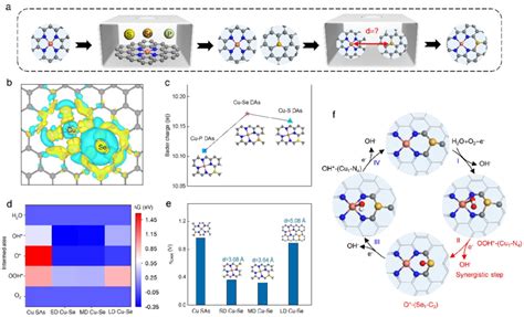Dft Calculations Of The Orr Activity On Cu Se Das A Scheme Of Download Scientific Diagram