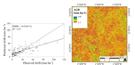Relationship Between Observed And Predicted Aboveground Biomass Agb Download Scientific