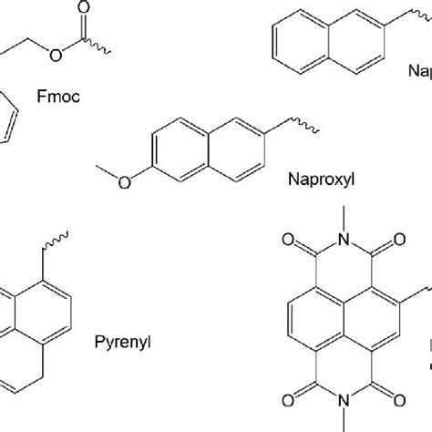 Summary Of Main Types Of Bulky Aromatic Terminal Groups Discussed In